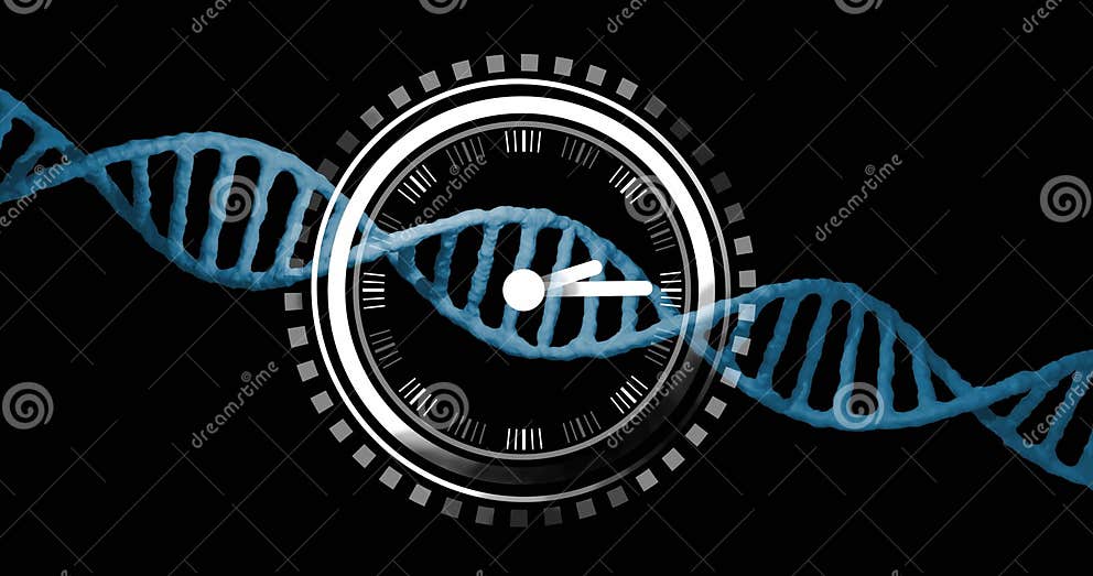 Image of Clock Moving Over Dna Strand on Black Background Stock Photo ...