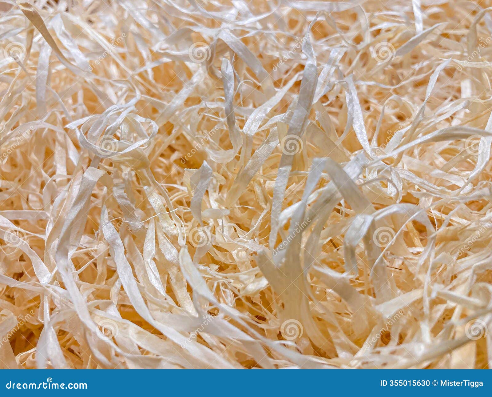 The Image is a Close-up of Shredded Material, Possibly Paper the Fibers ...