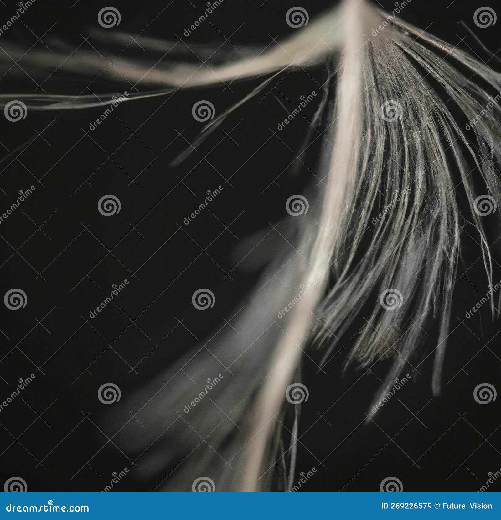 Image of Close Up of White Wisp on Black Background Stock Image - Image ...