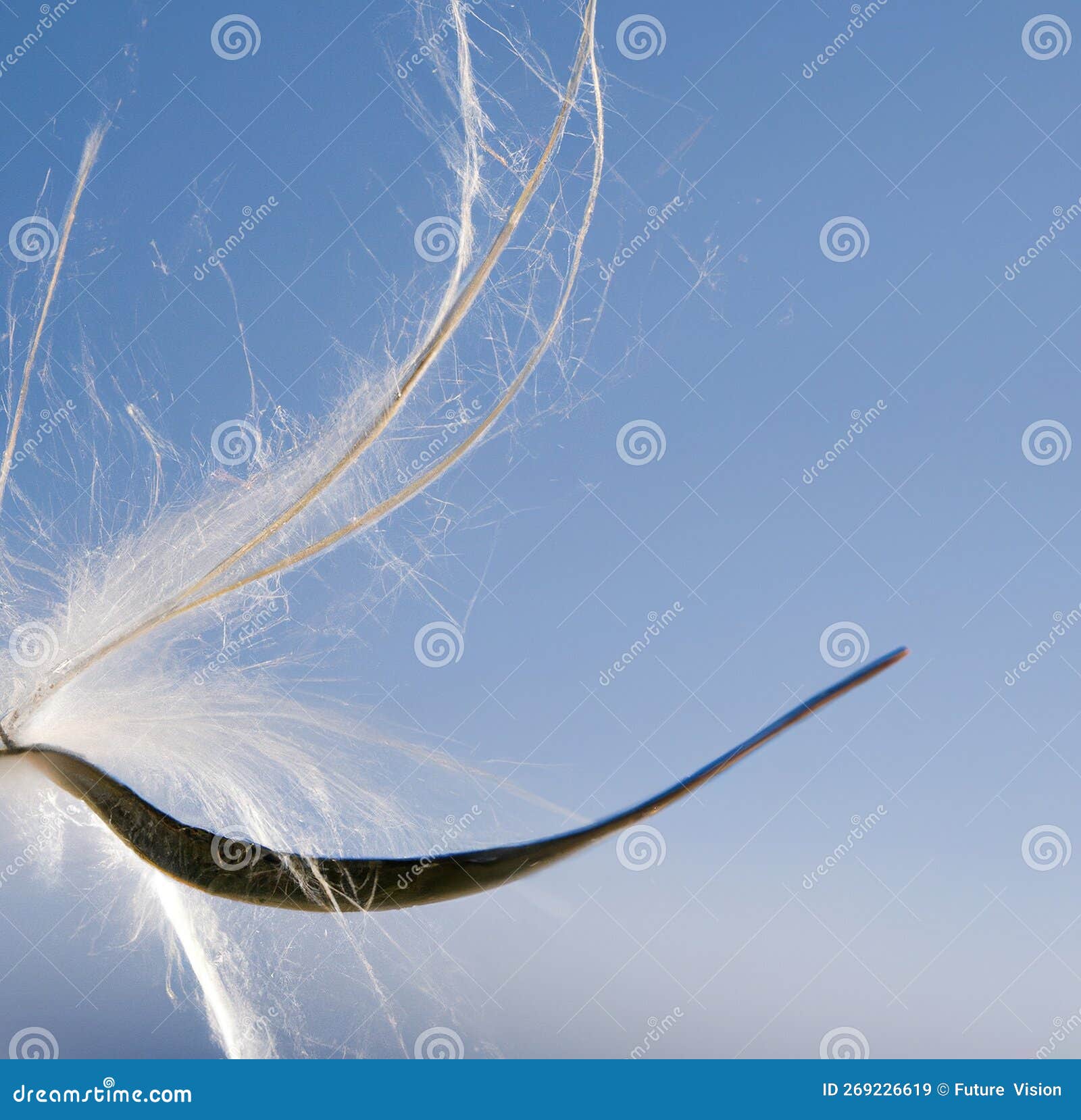 Image of Close Up of White Wisp on Blue Background Stock Image - Image ...