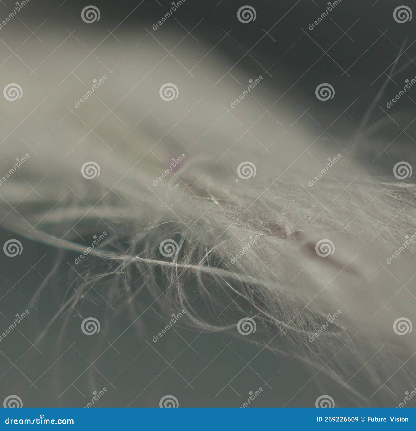 Image of Close Up of White Wisp on Grey Background Stock Image - Image ...