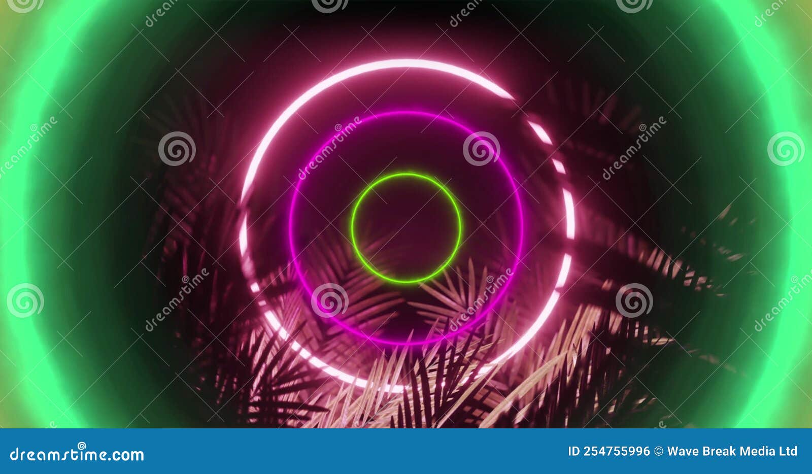 Image of Colourful Neon Rings Processing Over Palm Leaves on Black ...
