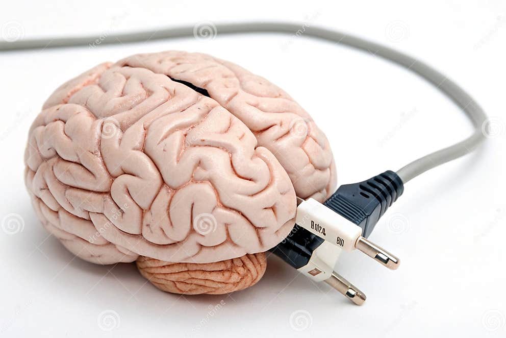 Brain with Plug Wire: Concept of Data and Knowledge Transmission Stock ...