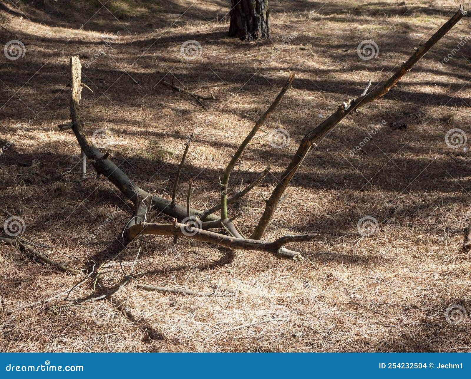 Climate Change Image of a Reservoir with a Dry Tree Branch. Concept of ...