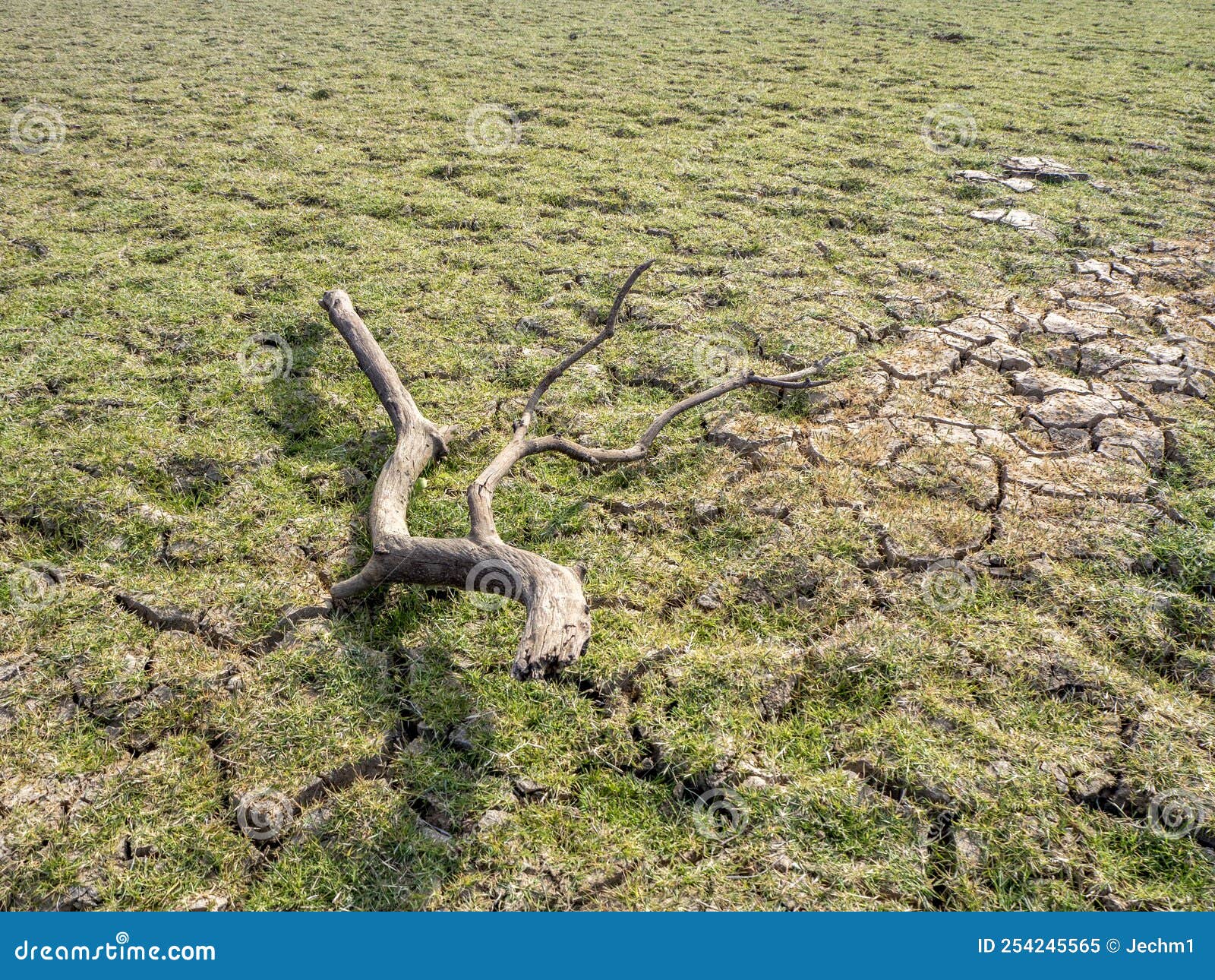 Climate Change Image of a Reservoir with a Dry Tree Branch. Concept of ...