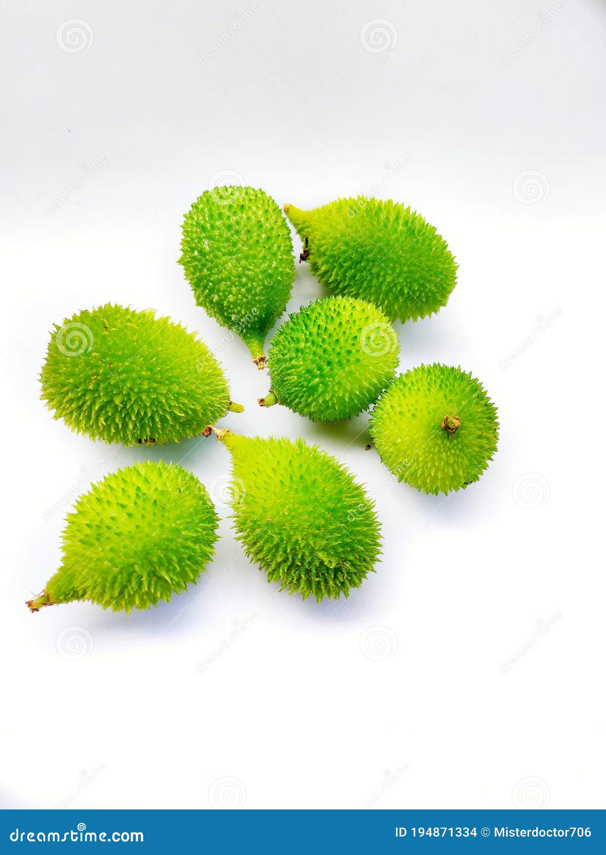 Some Spiny Guard in White Solid Background Stock Photo - Image of green ...