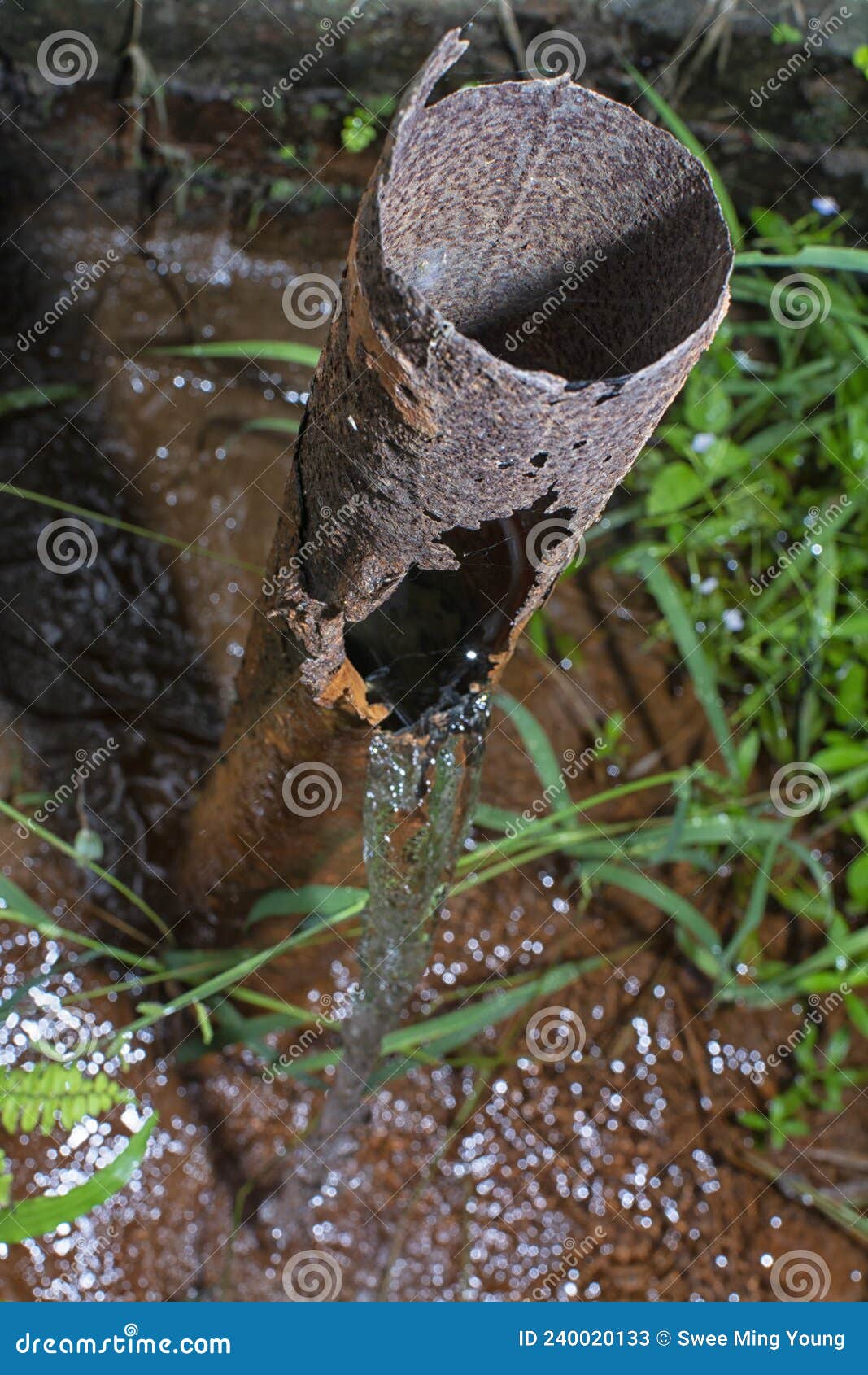 Corroded Water Pipe Leaking Onto the Ground Stock Image - Image of ...
