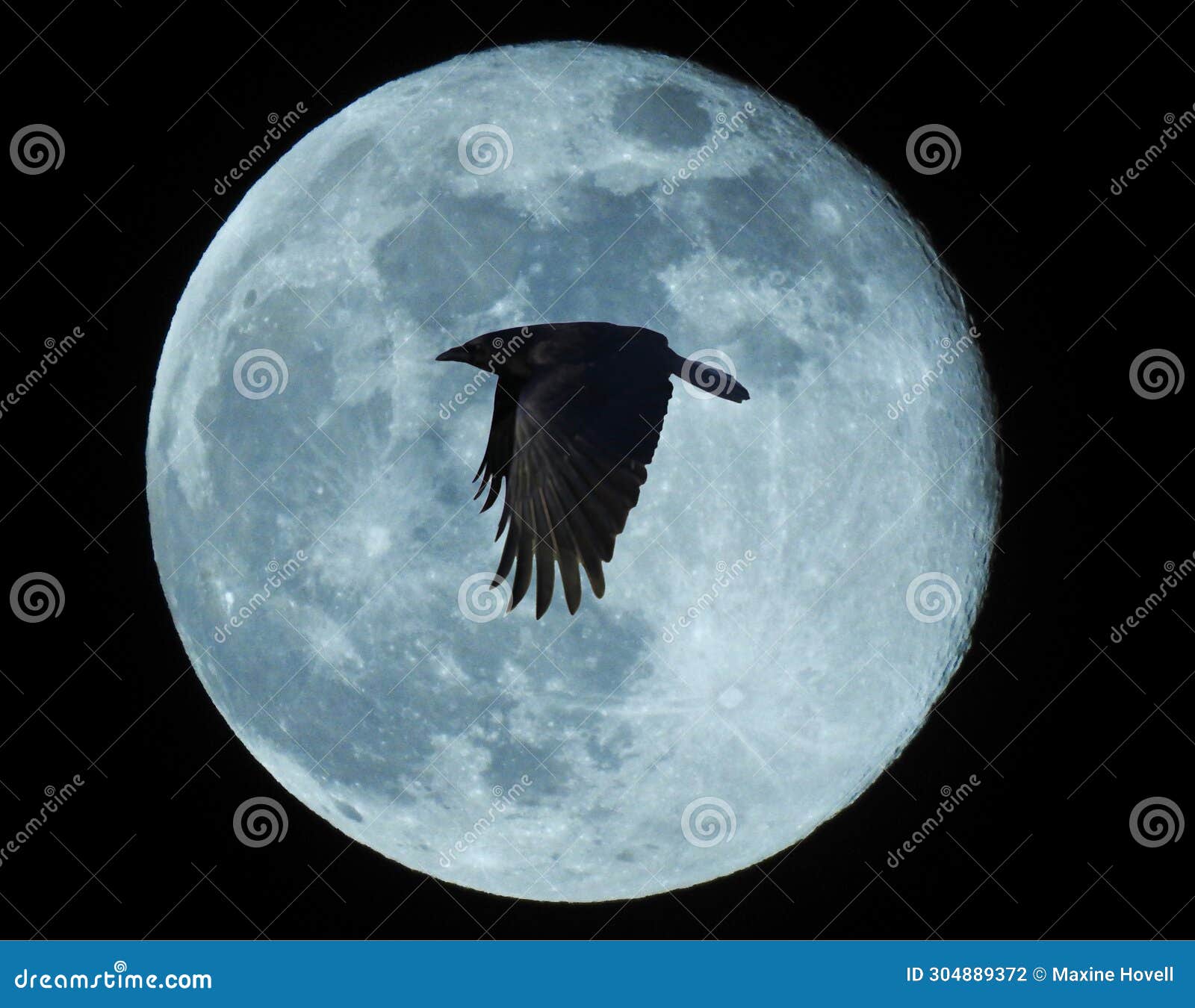 Full Moon with Crow Flypast Stock Photo - Image of space, landscape ...
