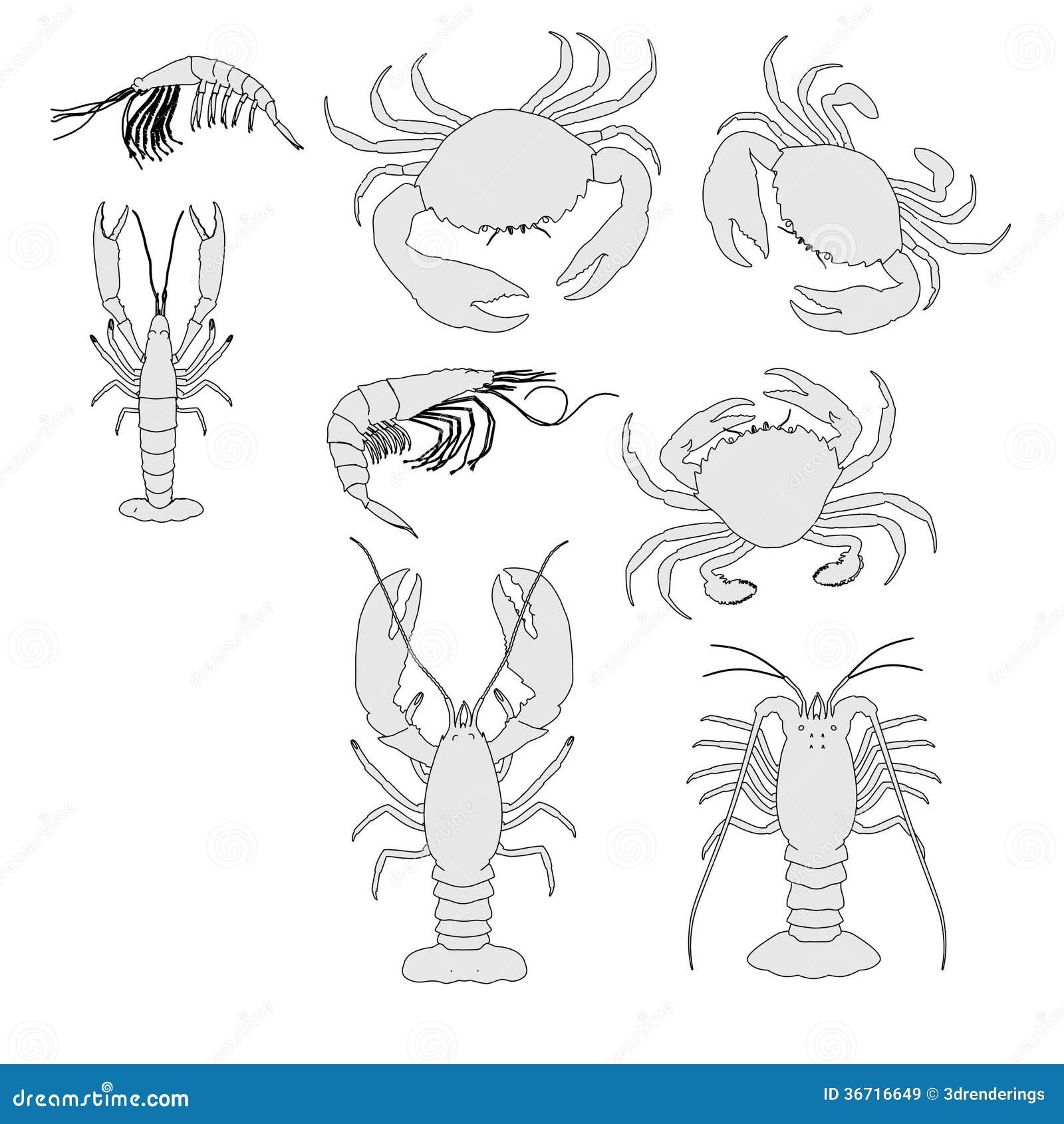 Image of Crustacean Animal Set Stock Illustration - Illustration of ...