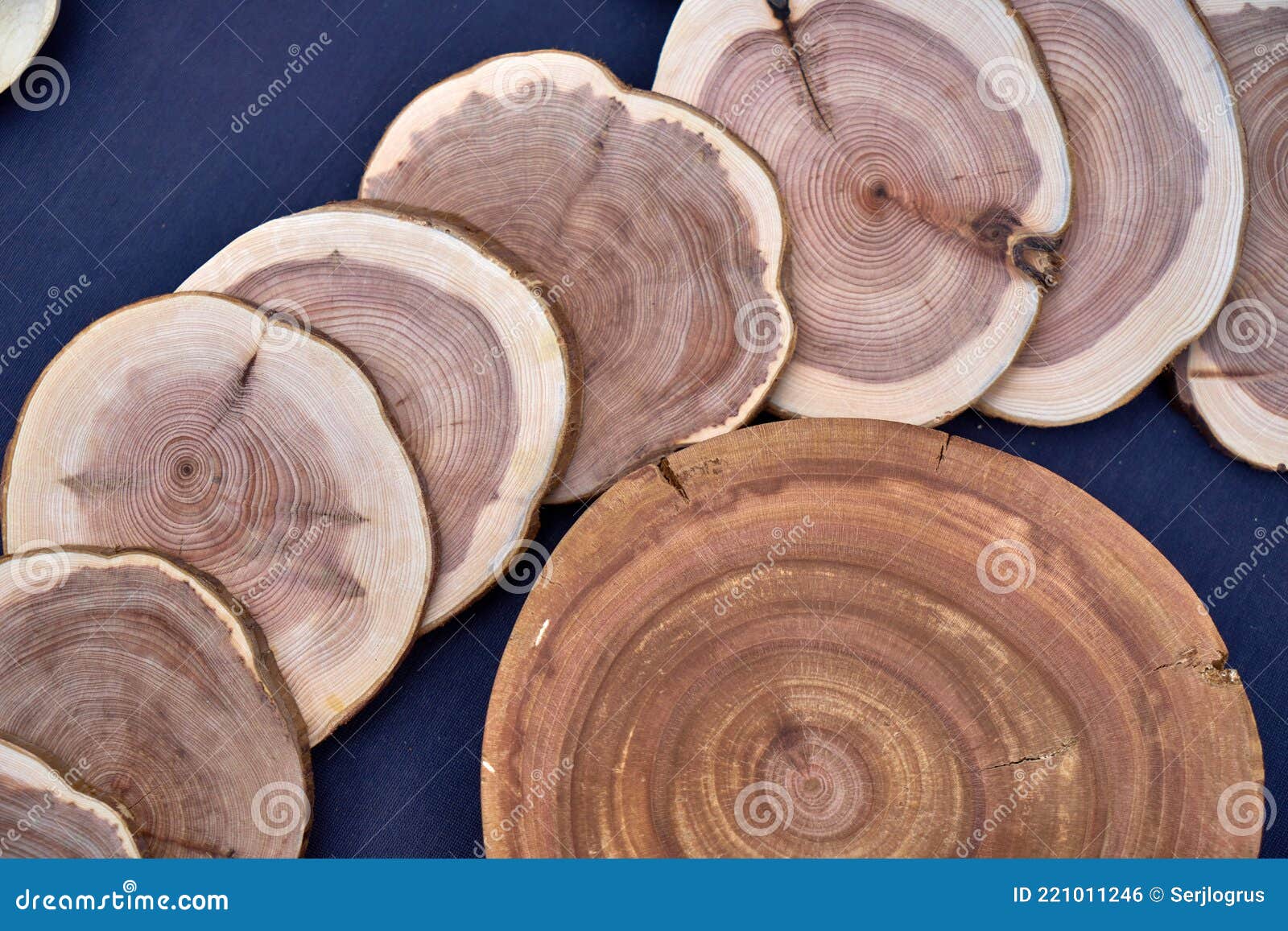 Cut Tree. Juniper and Sweet Cherry Stock Photo - Image of background ...