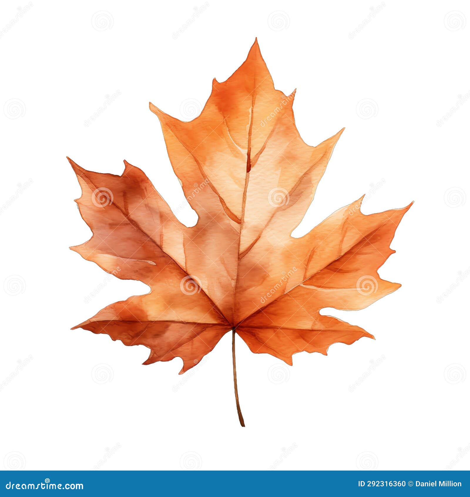 Cute Watercolor Fall Autumn Maple Leaf, Illustration Stock Illustration ...