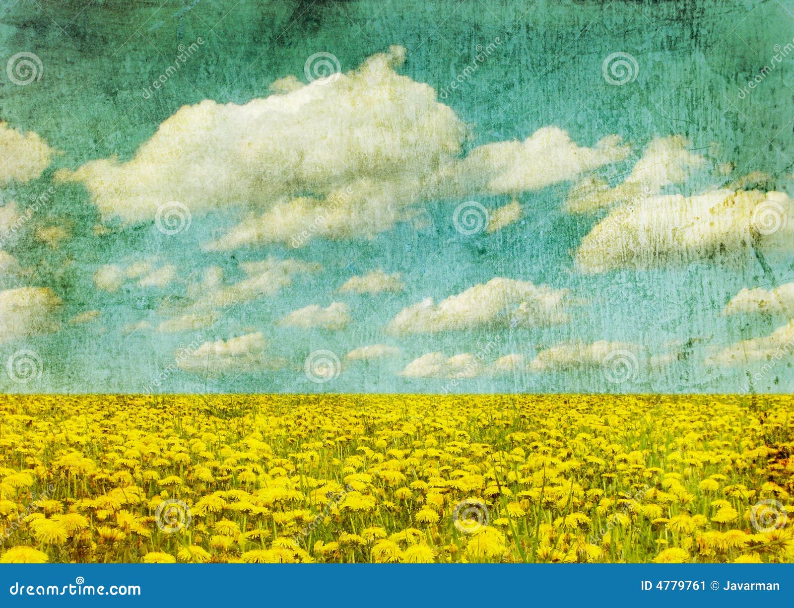 Image of dandelion field stock illustration. Illustration of bloom ...