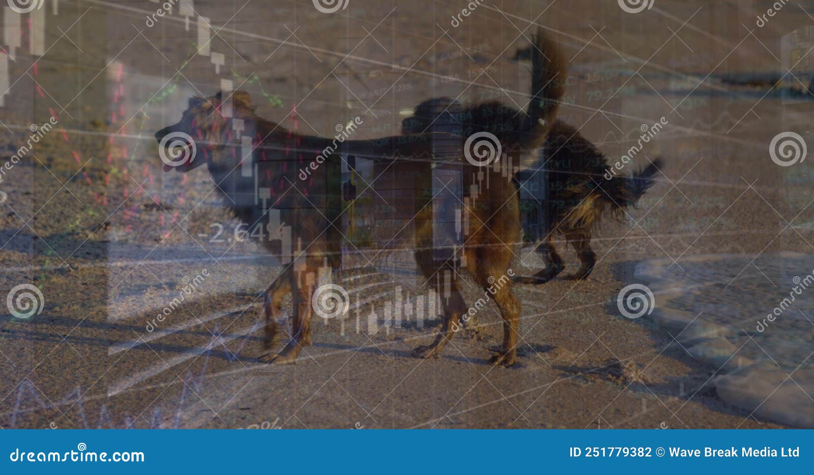 Image of Data Processing Over Dogs Stock Photo - Image of digitally ...