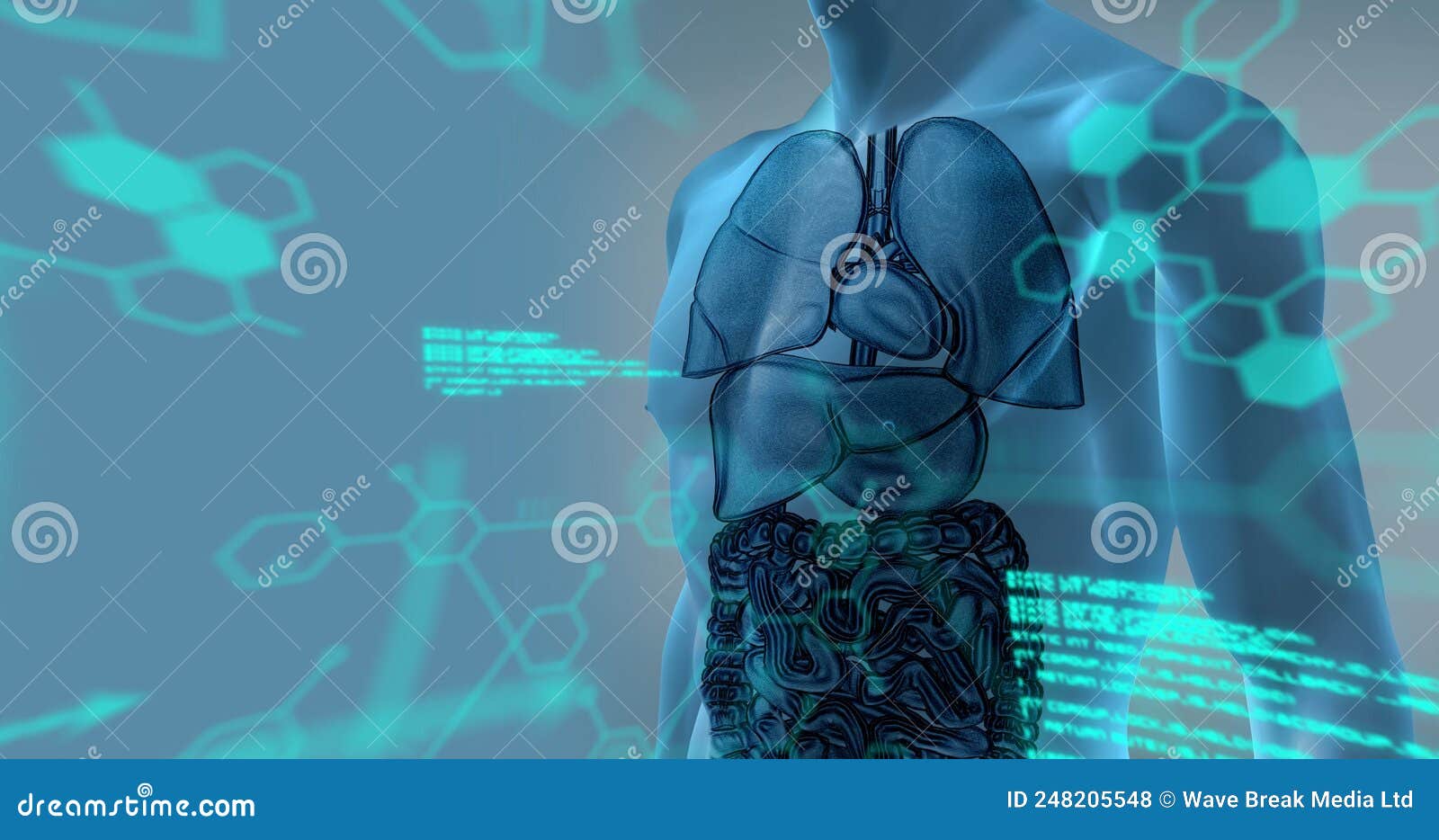 Image of Data Processing Over Human Body Model Stock Illustration ...