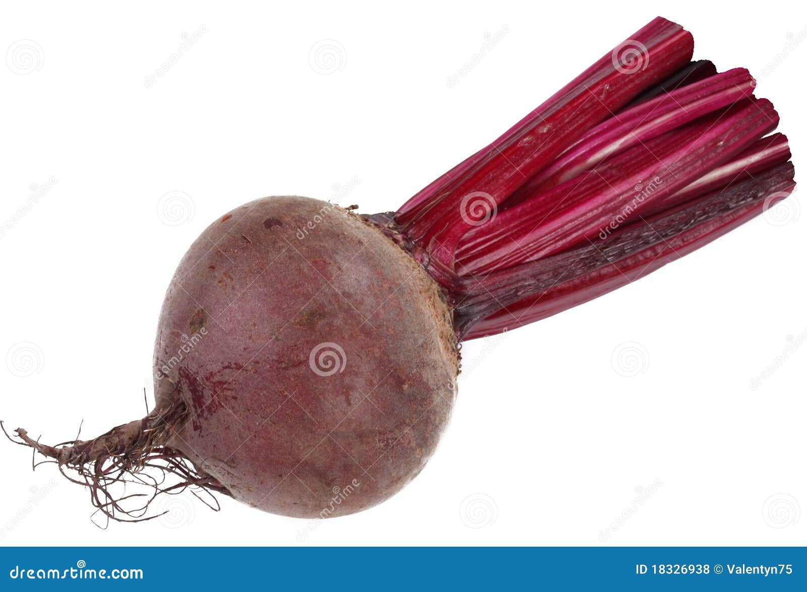 Image De Betterave Sur Le Fond Blanc. Photo stock - Image du betterave ...