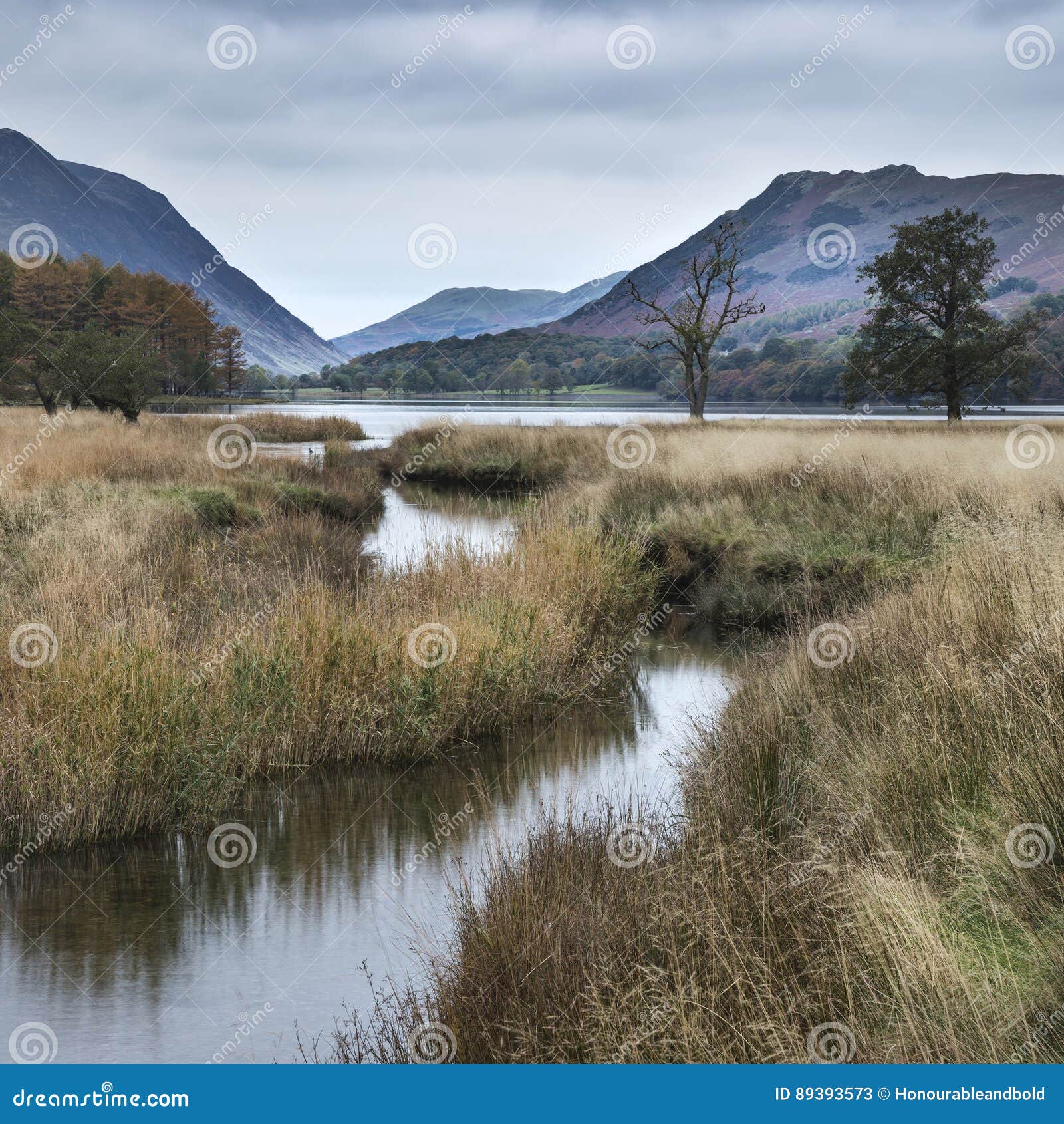 Image De Paysage De Stuning Autumn Fall De Lac Buttermere Dans Le Lac D ...