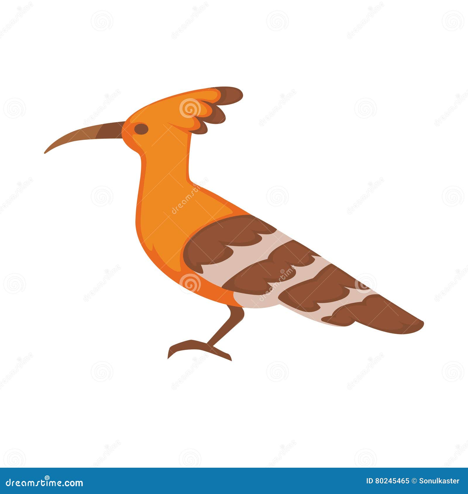 Image De Vecteur De Huppe Sur Le Blanc Illustration de Vecteur ...