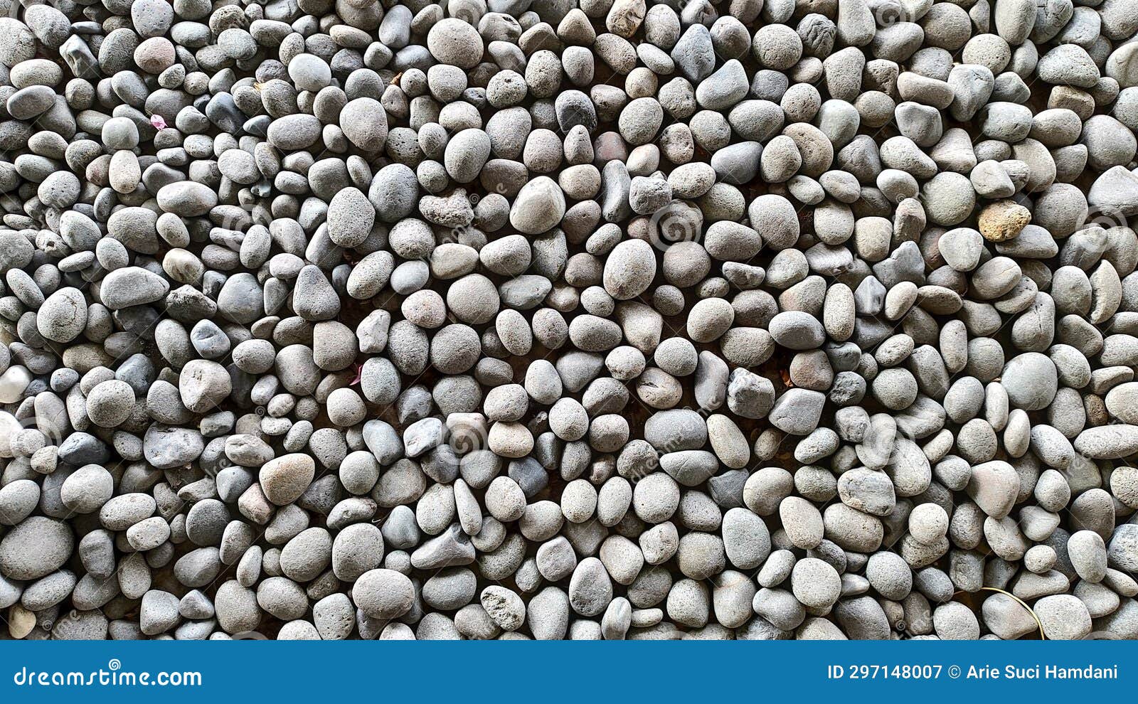 Image of Decorative Ground Rock for Architecture or Indoor Garden Stock ...