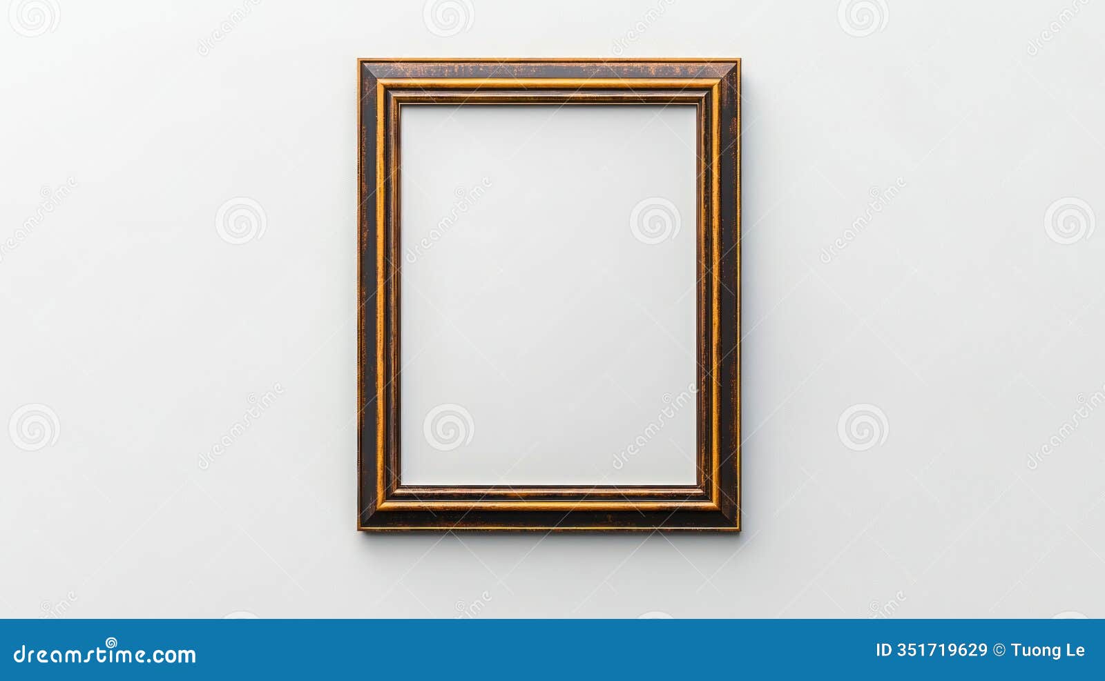 Gold Rectangular Frame on White Background - Straight on View Stock ...