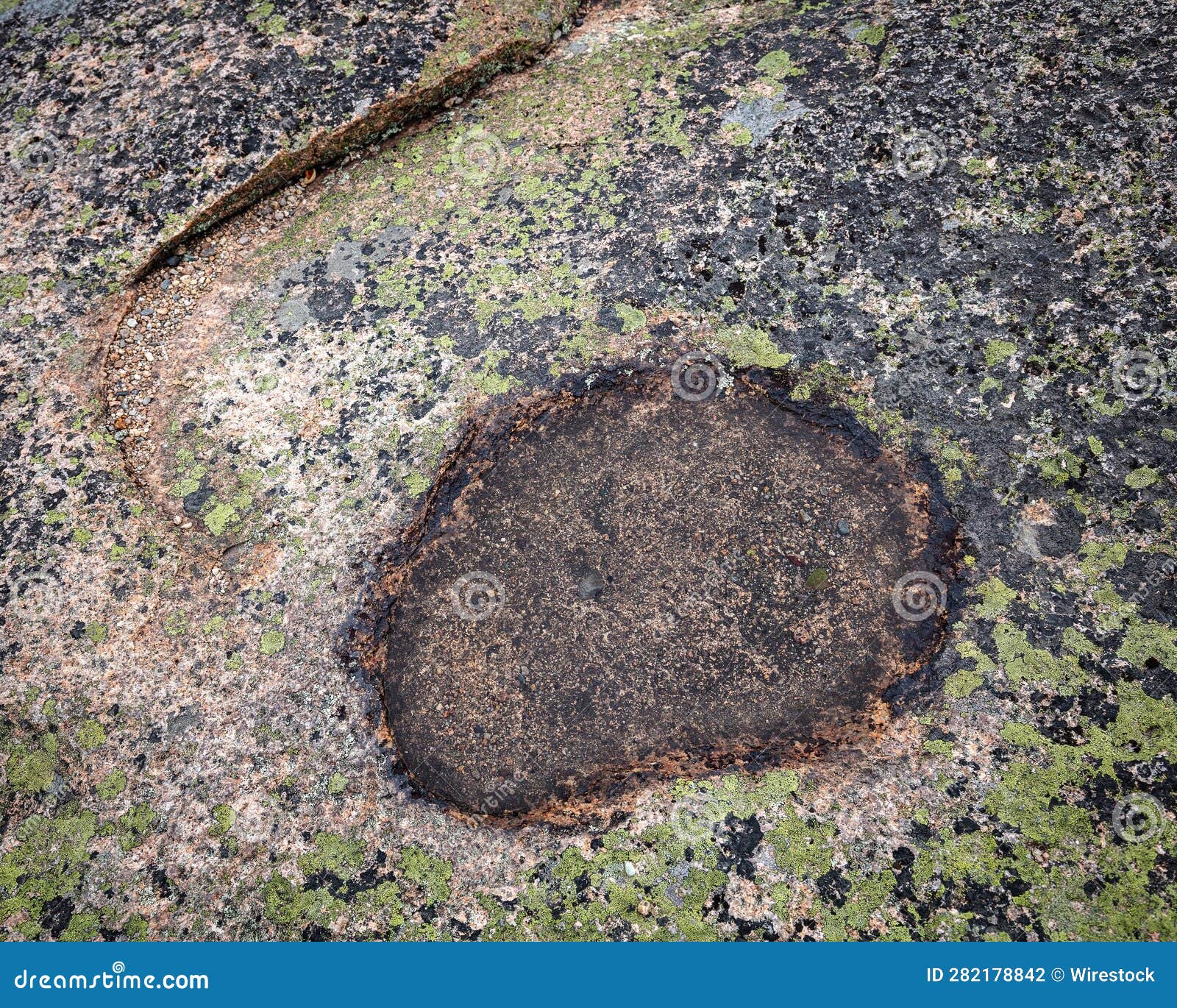 Image Depicts a Rocky Surface with Patches of Moss, Cracks, and Small ...