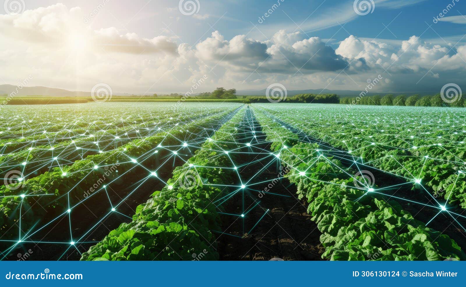 Harvesting Connections: Bridging Digital and Agricultural Ecosystems ...