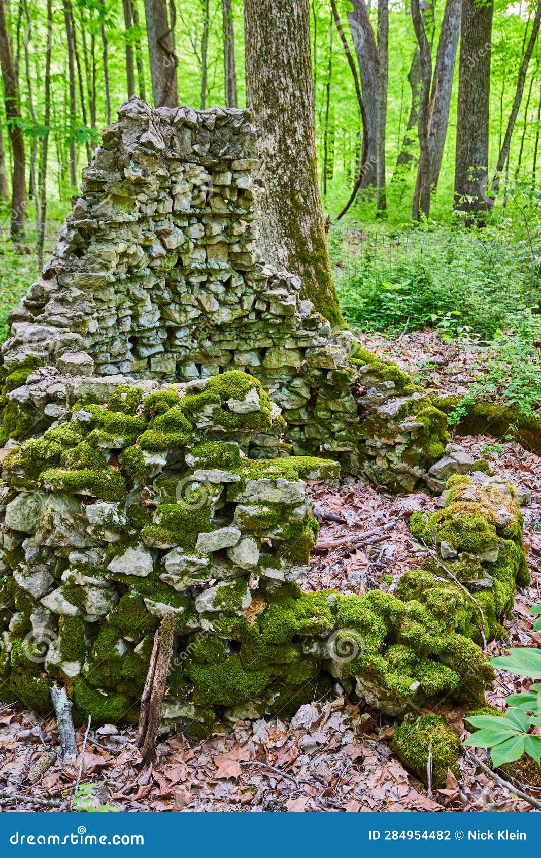 Destroyed Building in Forest, Old, Abandoned, Decaying Stone Structure ...