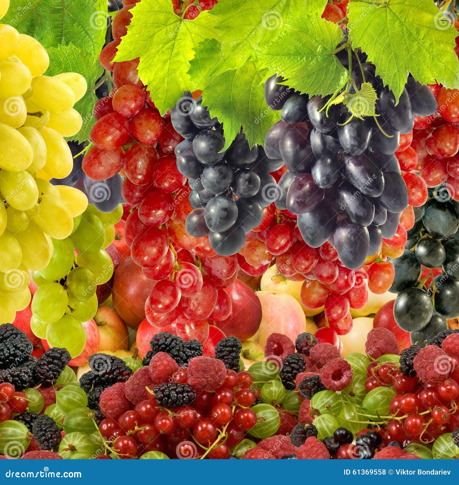 Image of Different Berries Closeup Stock Photo - Image of harvest ...