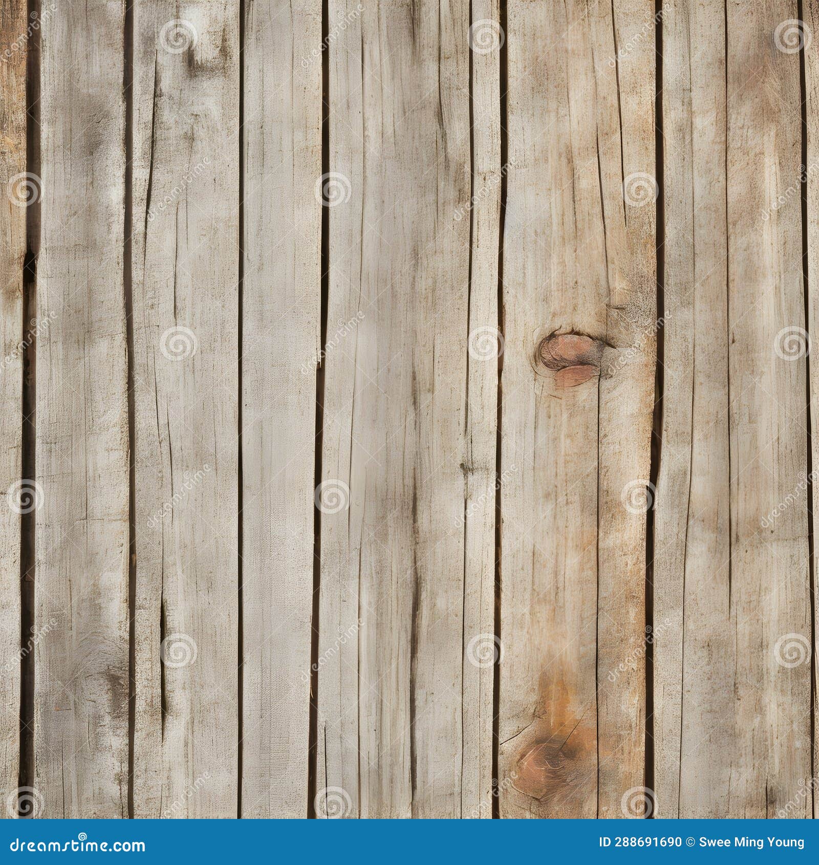 Image of Different Kinds of Plank Wood Texture and Pattern. Stock ...