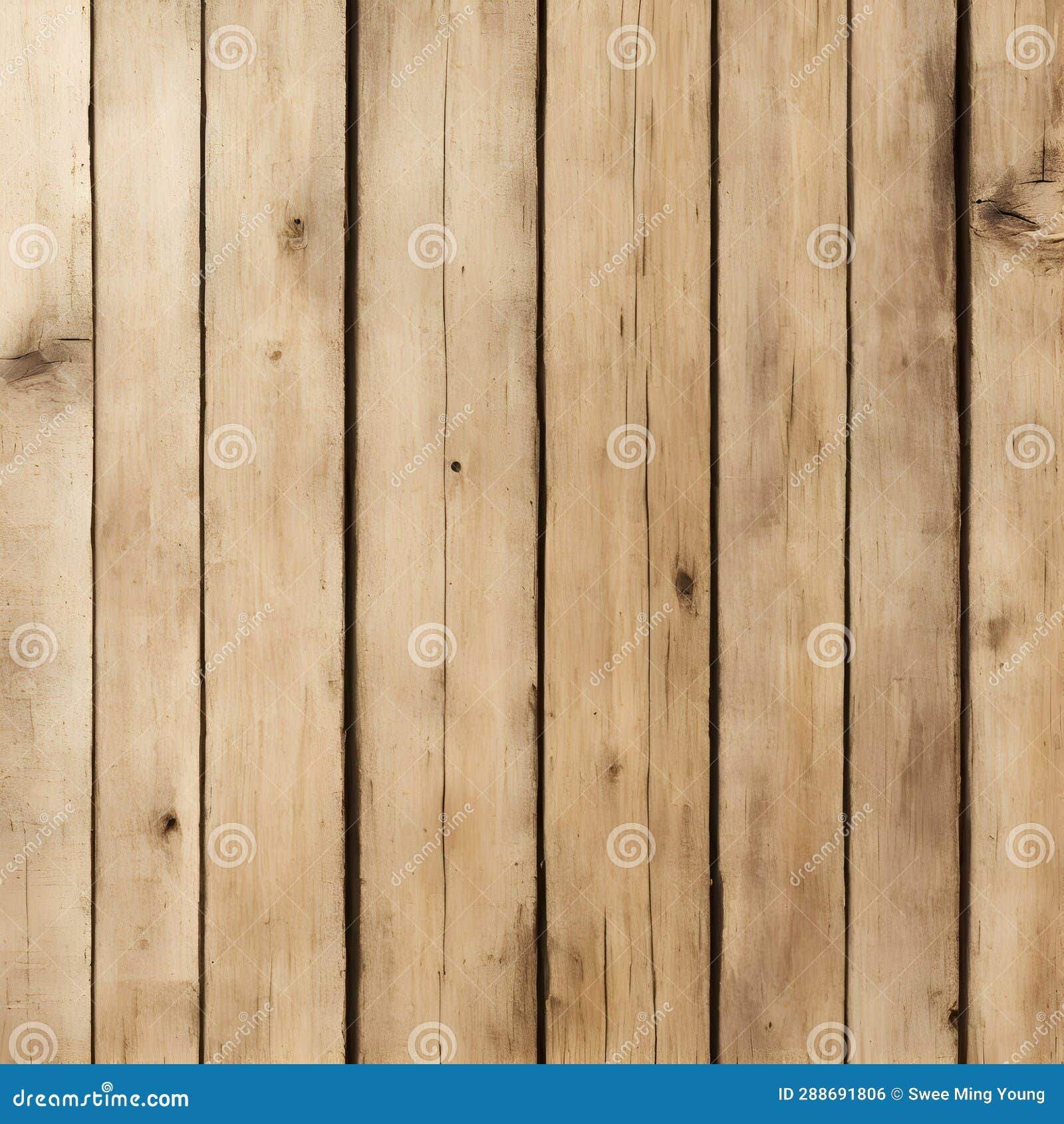 Image of Different Kinds of Plank Wood Texture and Pattern. Stock ...
