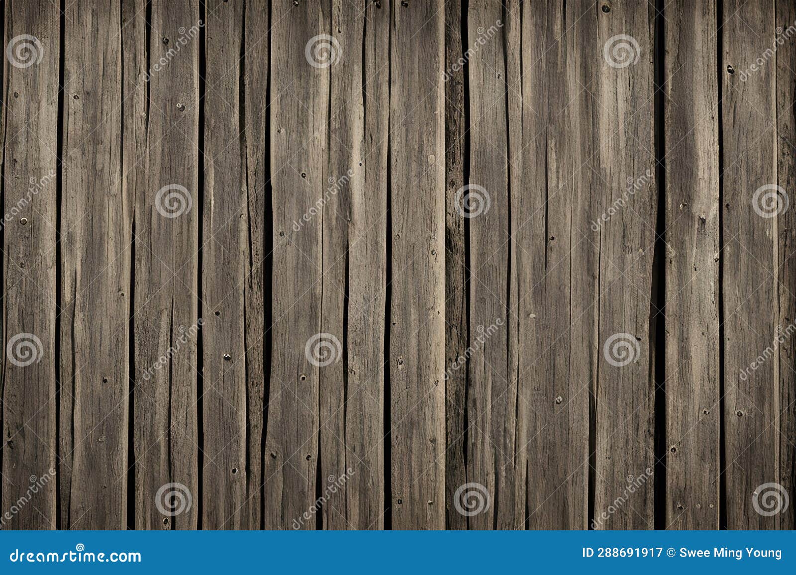 Image of Different Kinds of Plank Wood Texture and Pattern. Stock ...