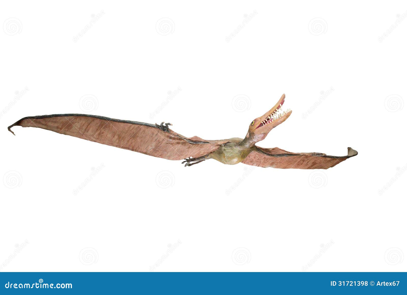 Image of a Dinosaur Pterodactyl in Flight Stock Illustration ...