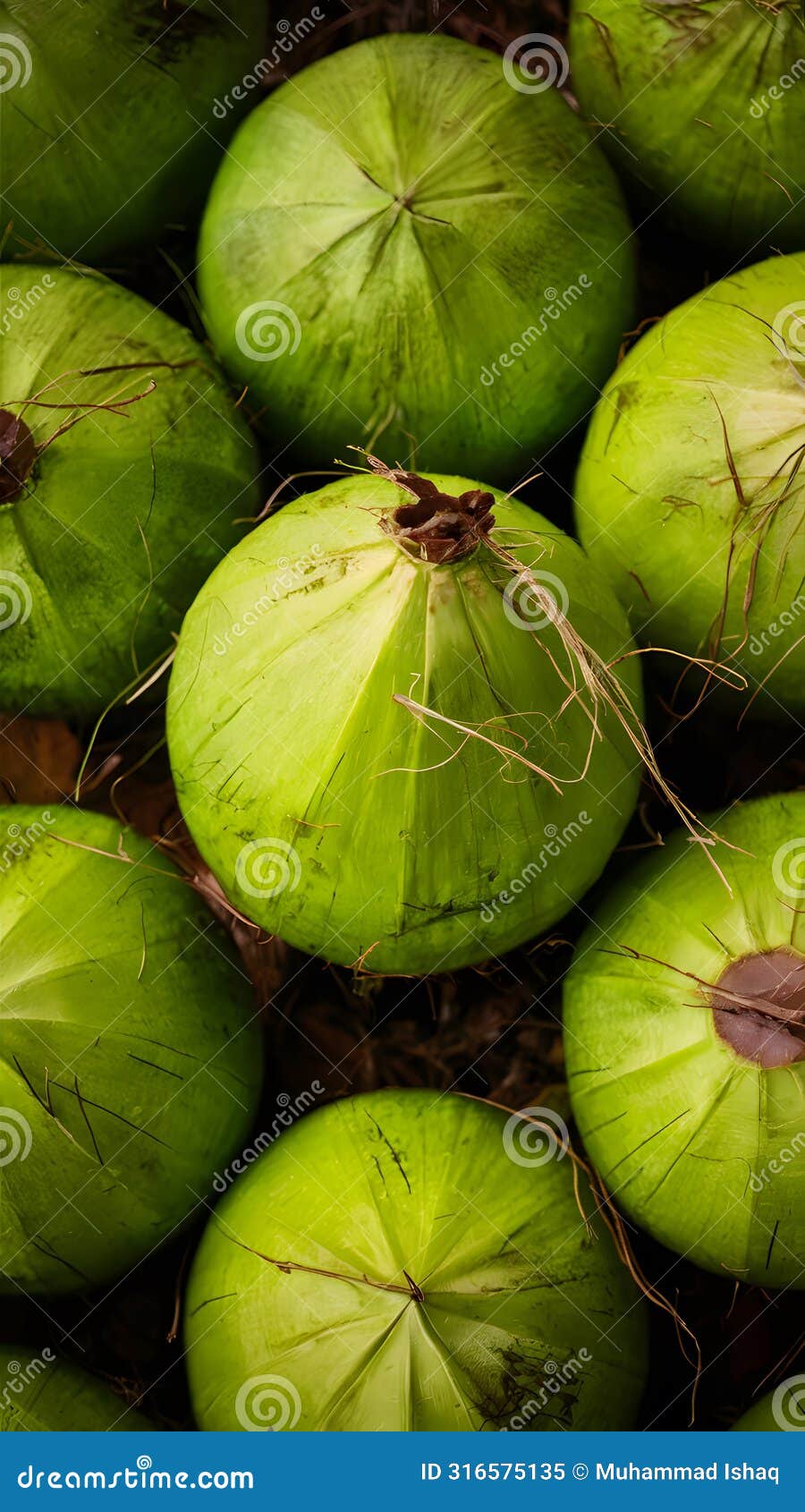 Image Display of Fresh Young Coconuts Captured in Foodgraphy Stock ...