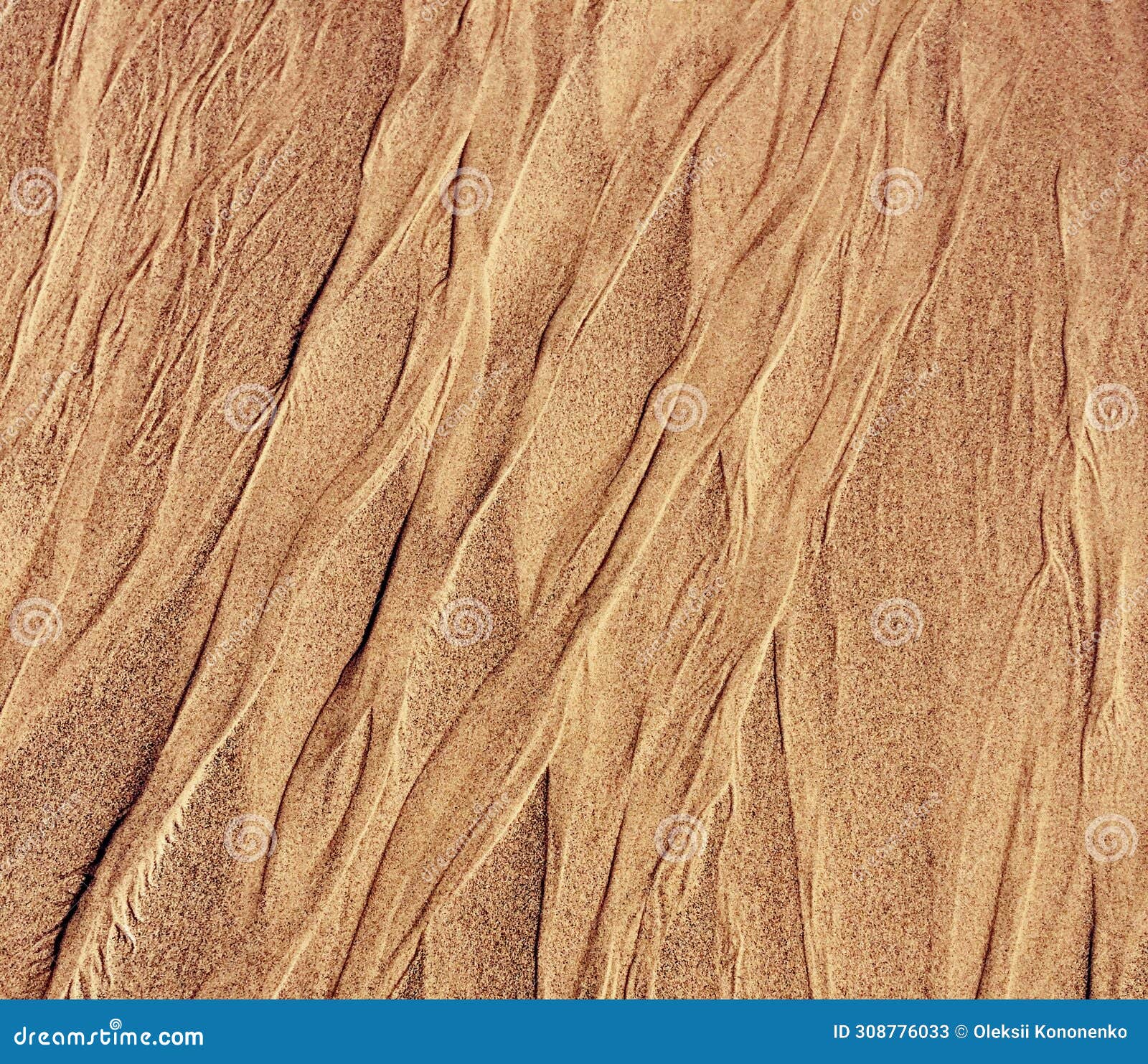 The Image Displays Intricate Patterns on a Sandy Surface, Likely Formed ...