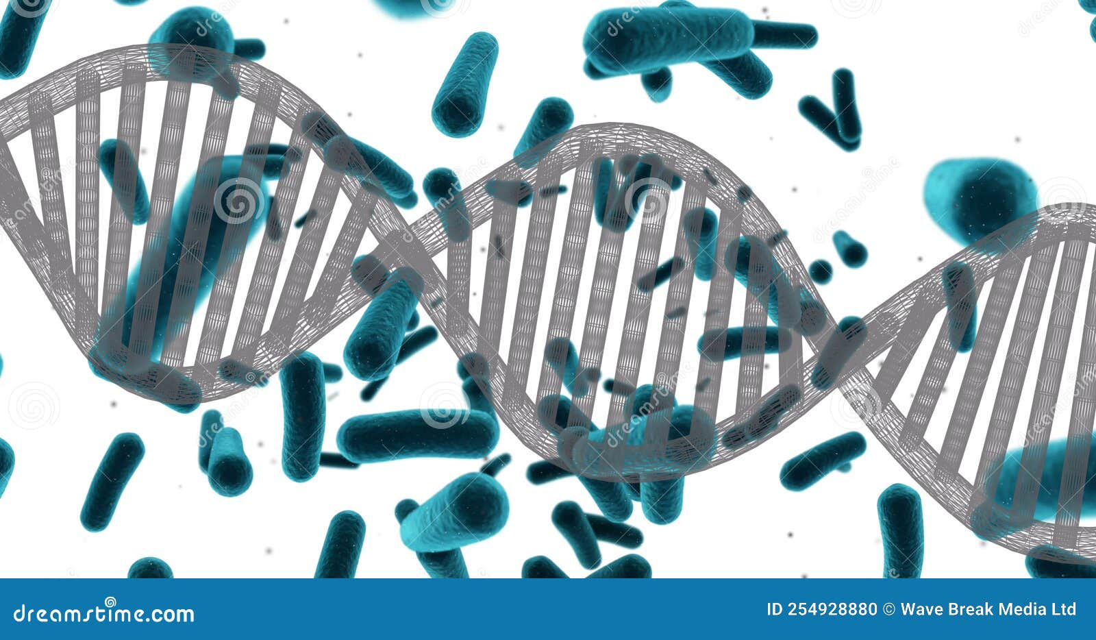 Image of Dna Strand Over Cells on White Background Stock Illustration ...
