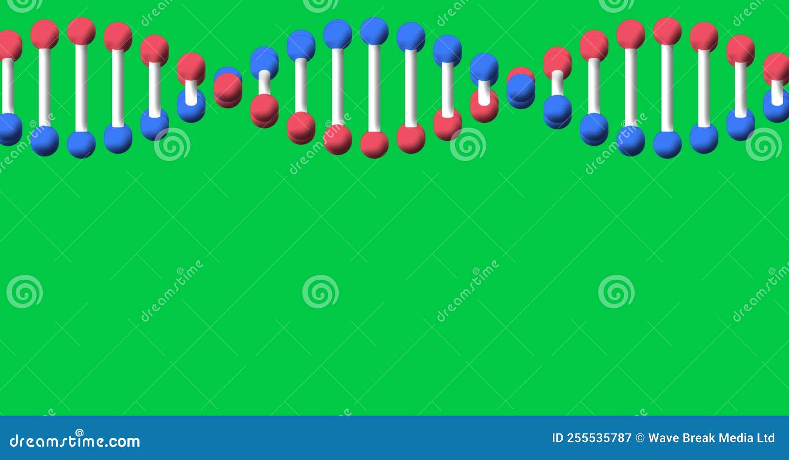 Image of Dna Strand Spinning with Copy Space Over Green Screen Stock ...