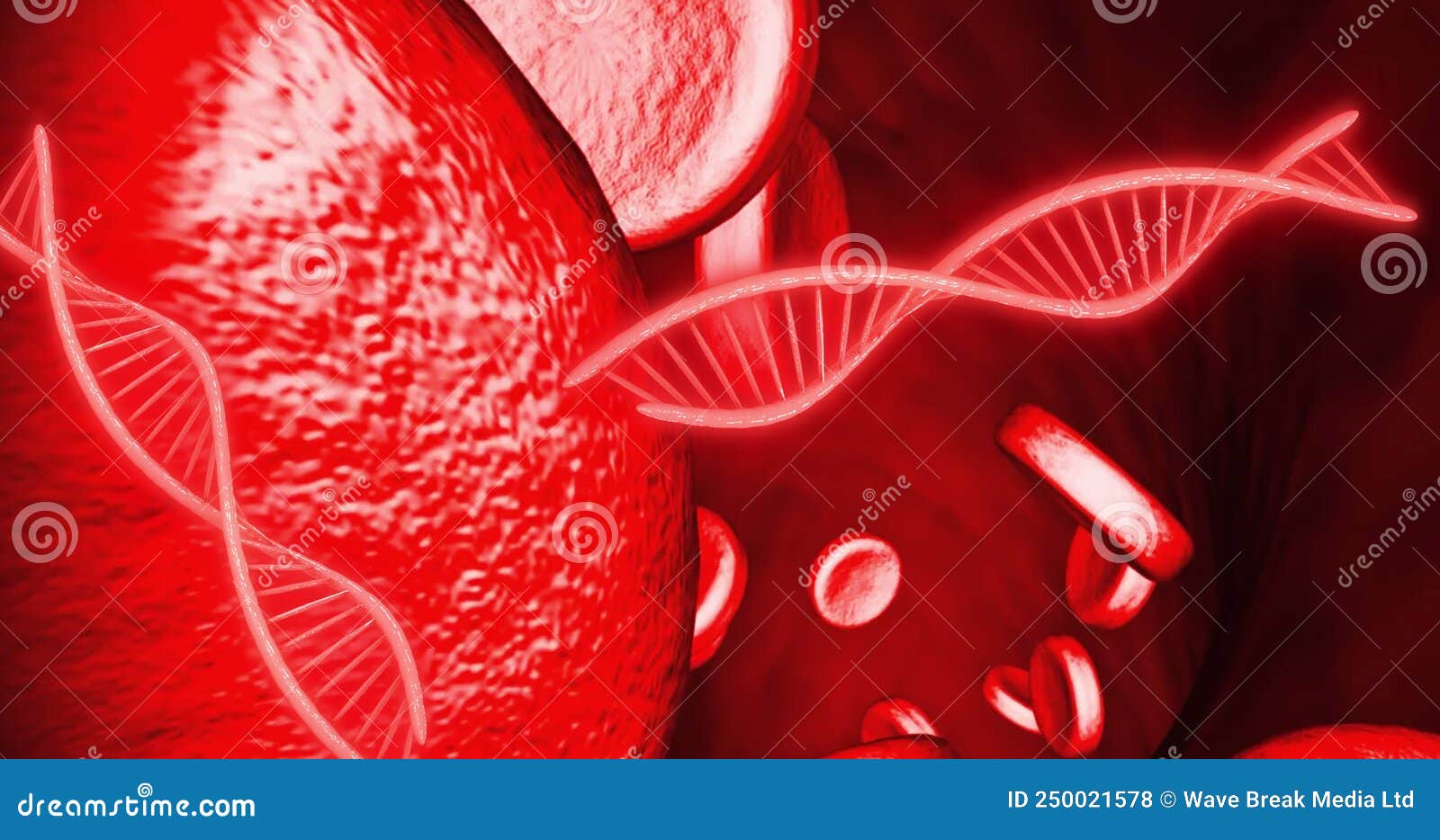 Image of Dna Strands and Blood Cells on Red Background Stock ...