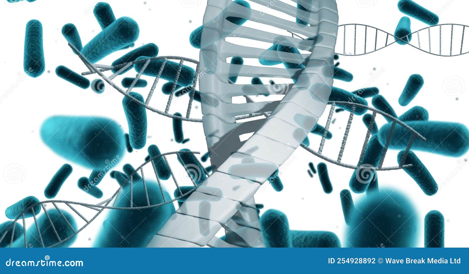 Image of Dna Strands Over Cells on White Background Stock Illustration ...