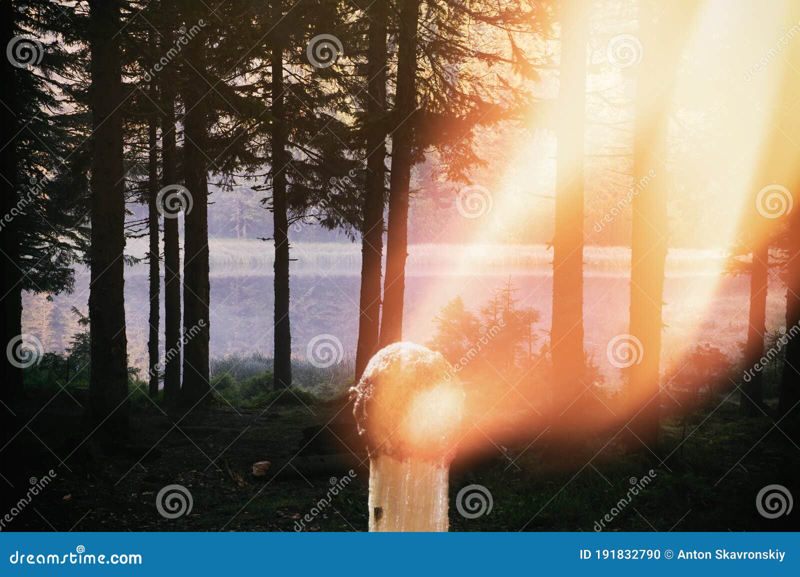 Careless Handling of Fire. Concept Stock Photo - Image of flash, fire ...