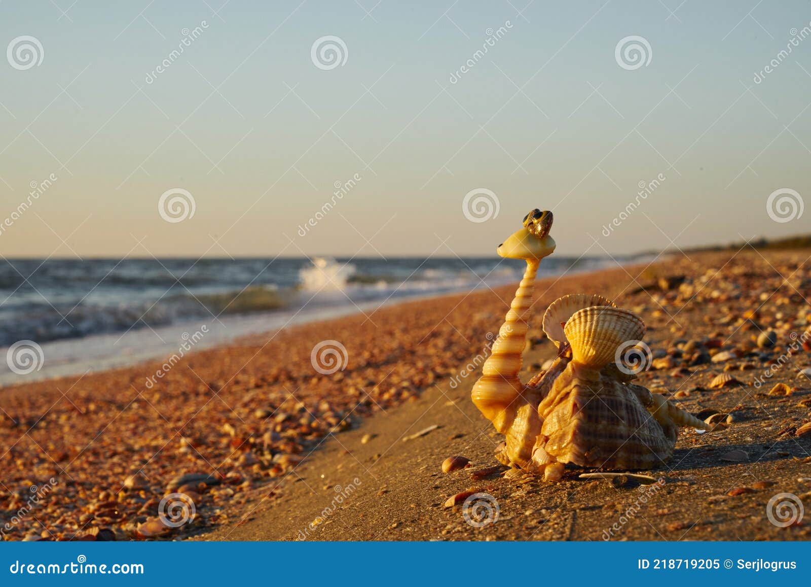Dragon Made of Shells. Handmade Stock Image - Image of baffling, dragon ...