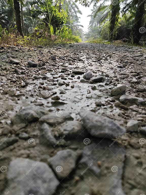 Dried Up Puddle Left with Stones Along the Pathway Stock Image - Image ...