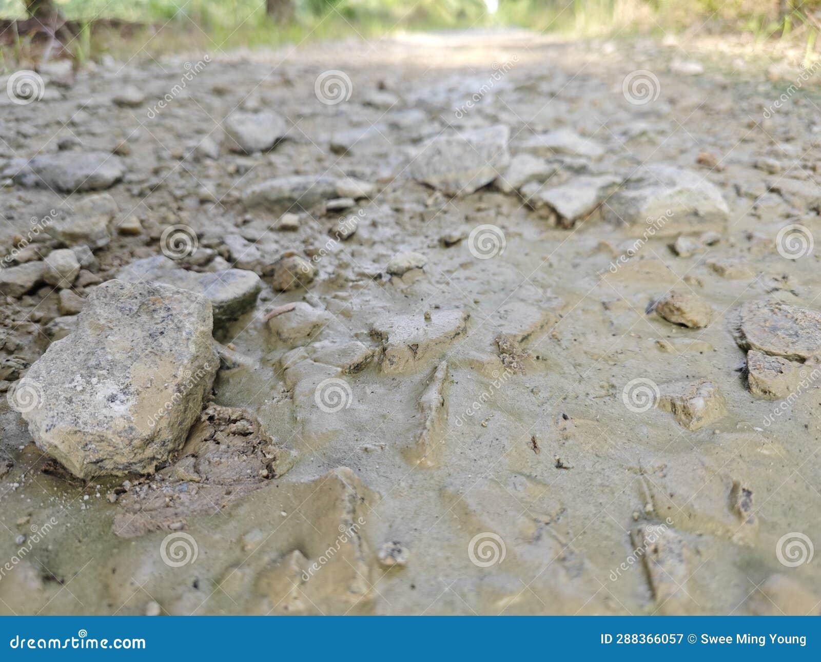 Dried Up Puddle Left with Stones Along the Pathway Stock Image - Image ...