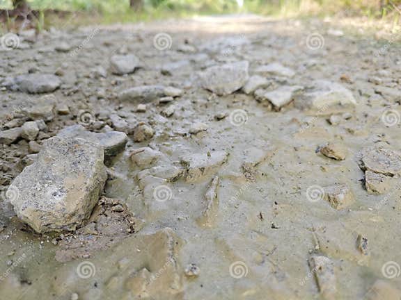 Dried Up Puddle Left with Stones Along the Pathway Stock Image - Image ...