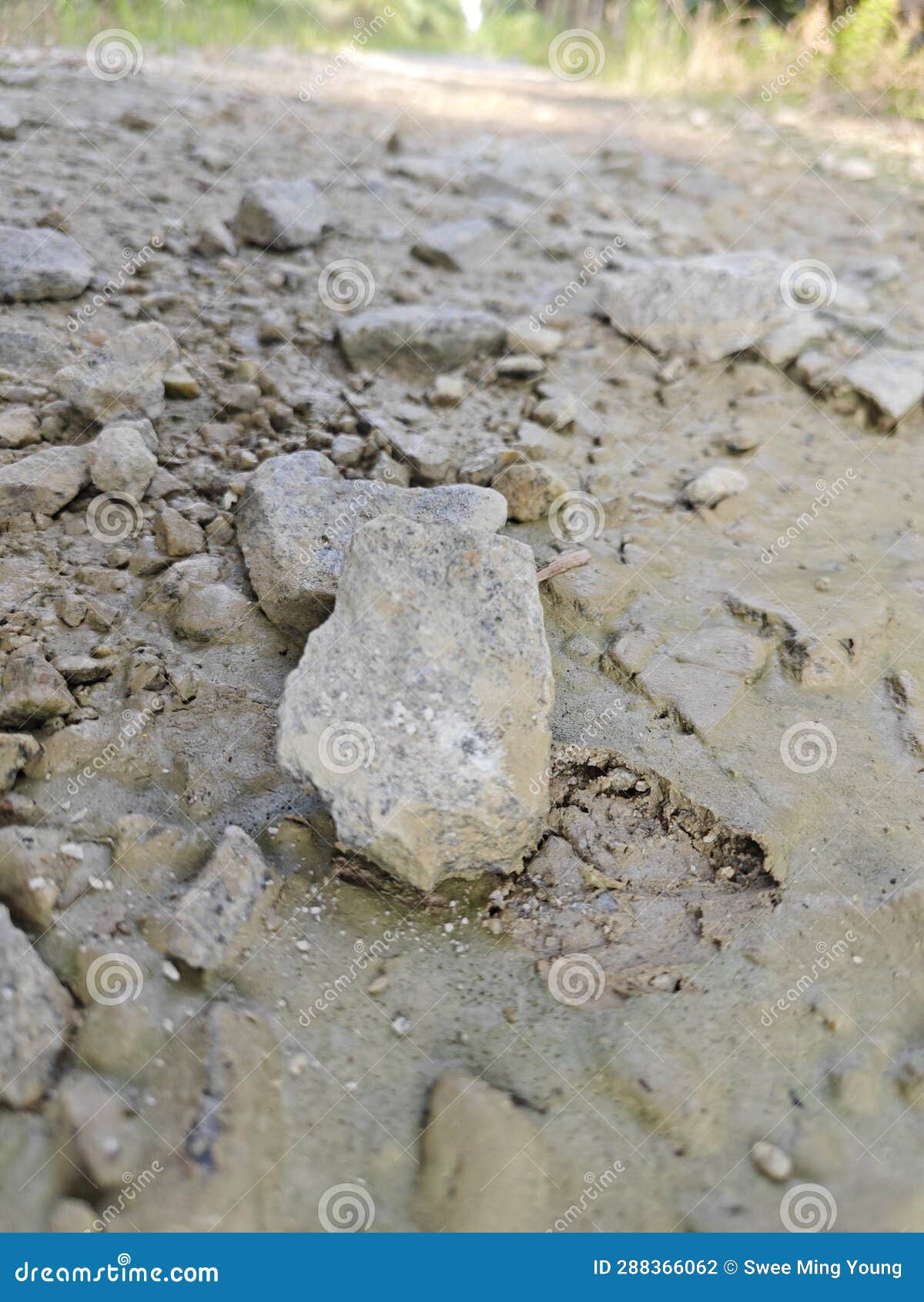 Dried Up Puddle Left with Stones Along the Pathway Stock Photo - Image ...