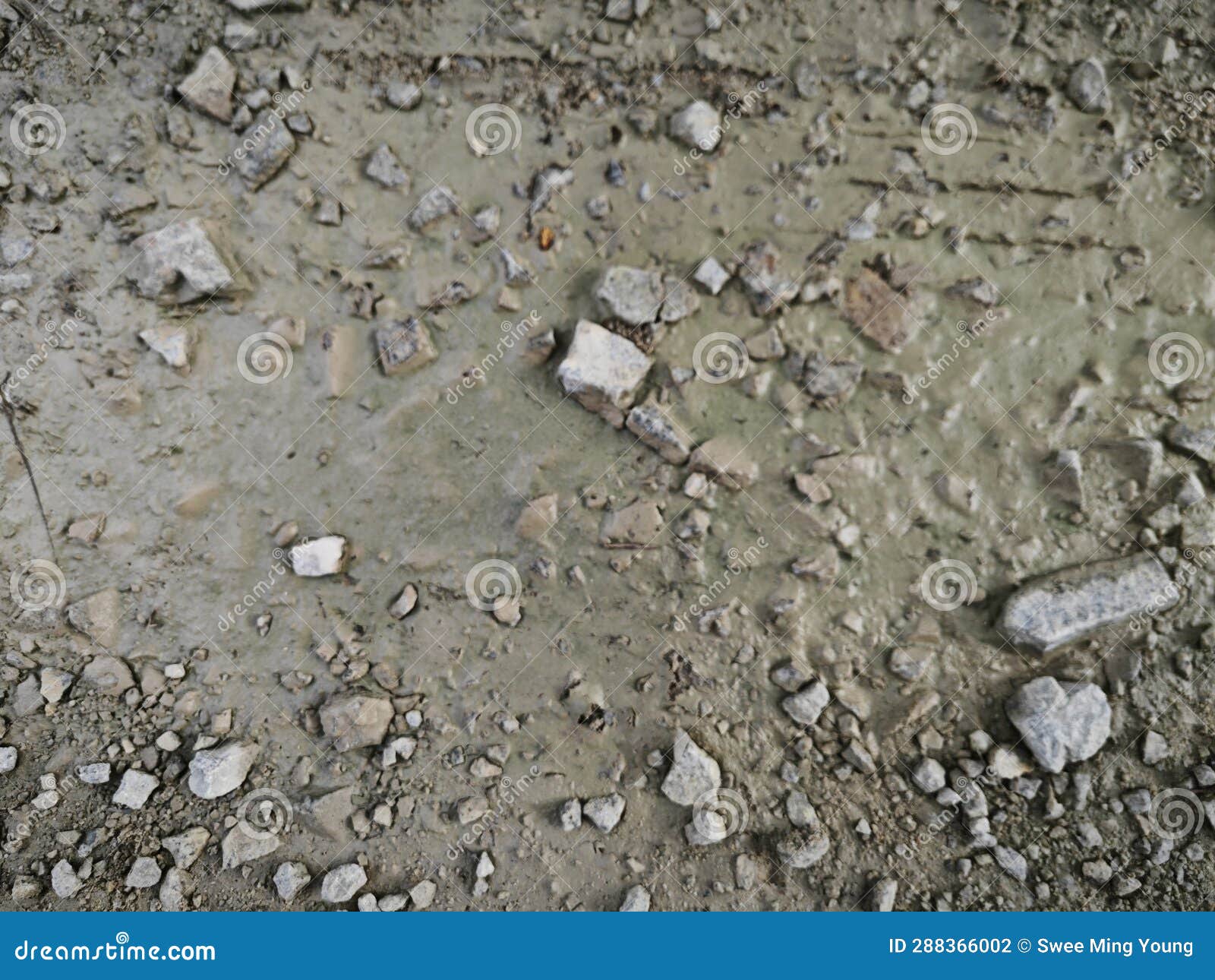 Dried Up Puddle Left with Stones Along the Pathway Stock Photo - Image ...