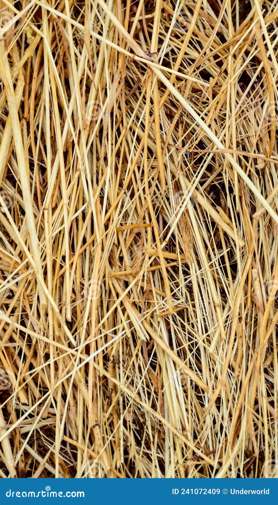 Hay Texture stock image. Image of harvest, countryside - 241072409