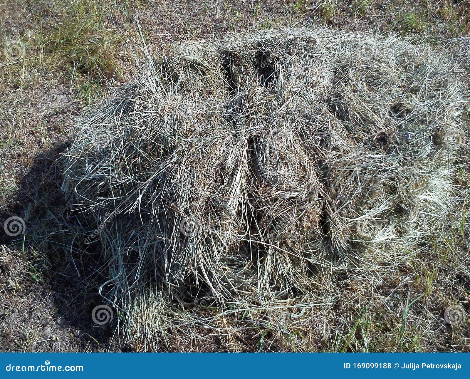 Image of Dry Grass Piled in a Pile. Haystack on the Field. the Texture ...