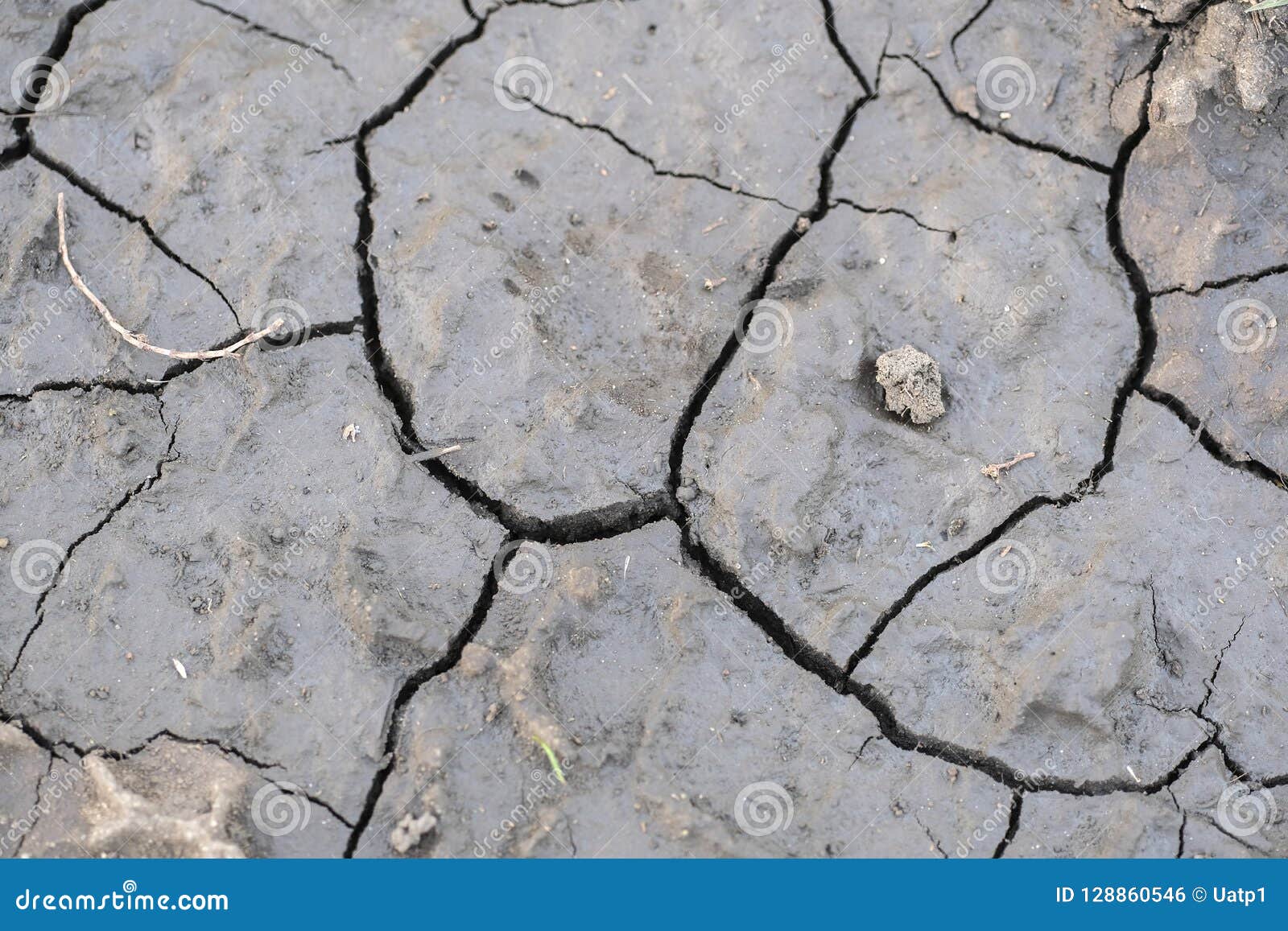 Image of dry ground stock photo. Image of erosion, broken - 128860546