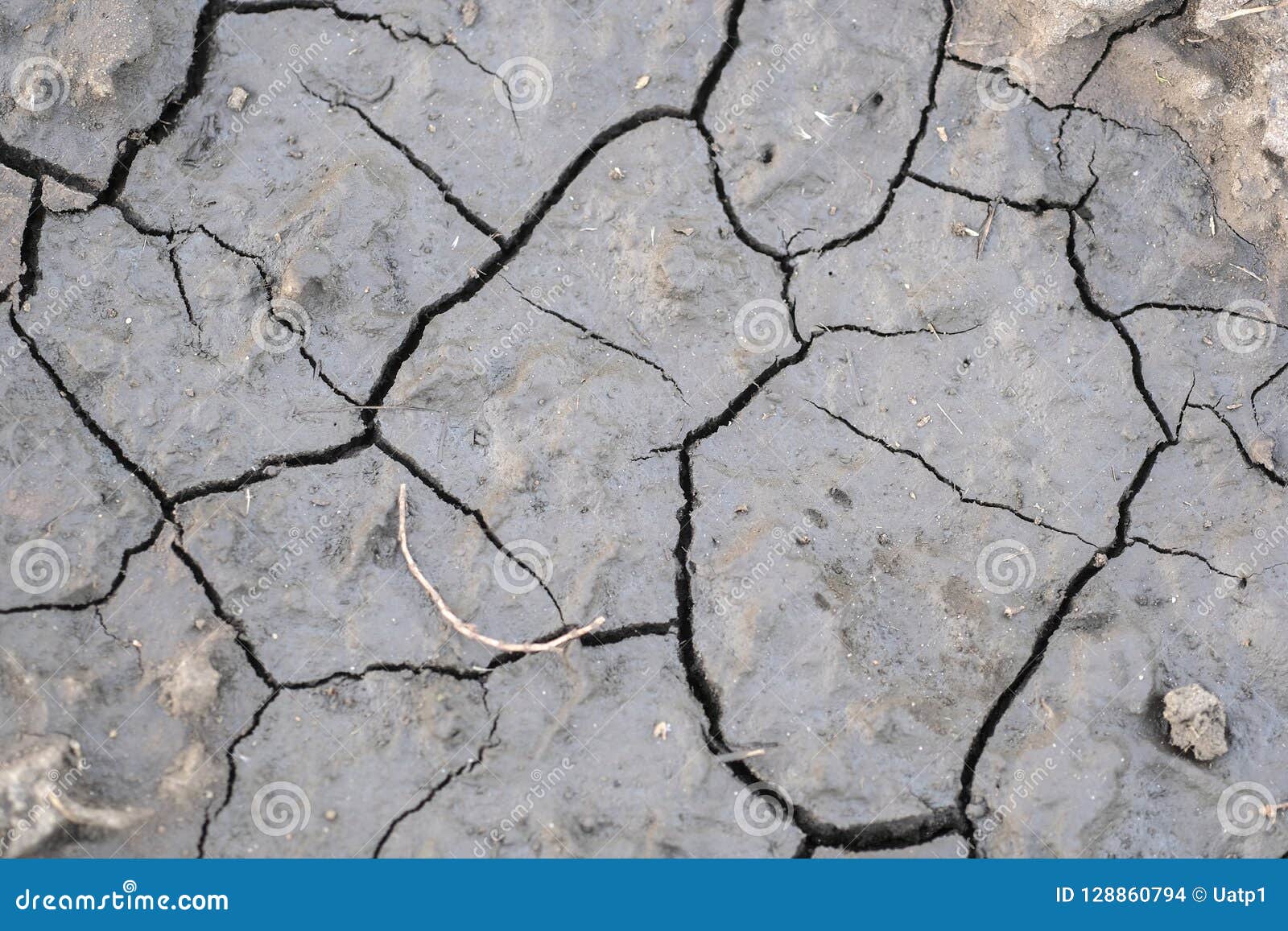 Image of dry ground stock photo. Image of clay, land - 128860794