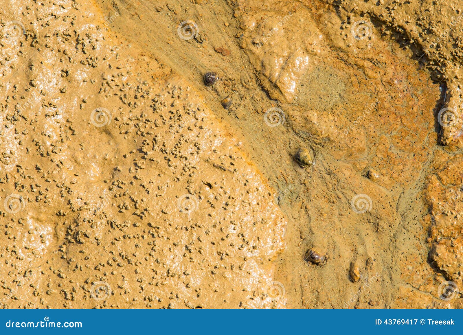 Image of dry mud stock image. Image of abstract, ground - 43769417