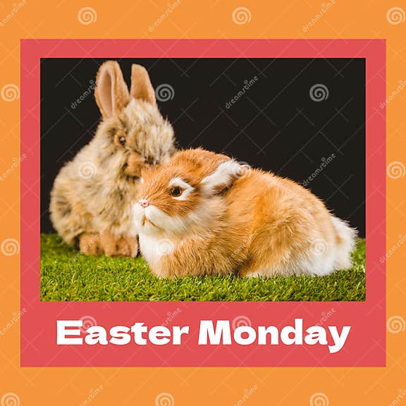 Image of Easter Monday Text Over Rabbits on Black Background Stock ...